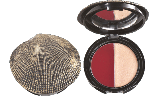 DuWop Seashell Lip Dual - Lipstick and Lipgloss - Thief – Beauty Goddess